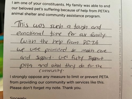 2024 Wrap-Up: Disaster Relief, Doghouses, and More | PETA