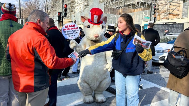 ‘Save Me and $23 Billion!’ Giant ‘Mouse’ Appears at MAGA Victory Rally ...