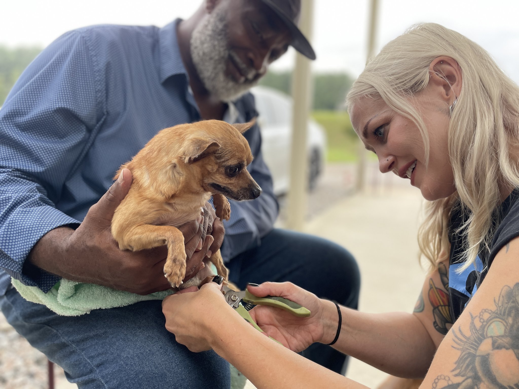 2024 Wrap-Up: Disaster Relief, Doghouses, and More | PETA