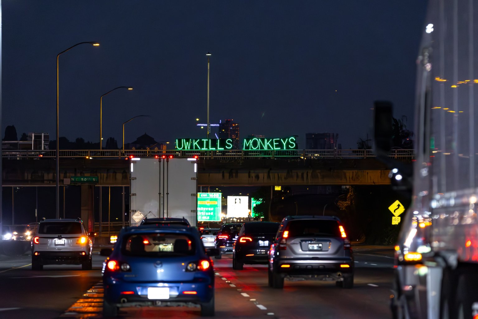 PETA Members Actively Promote Animal Rights | PETA