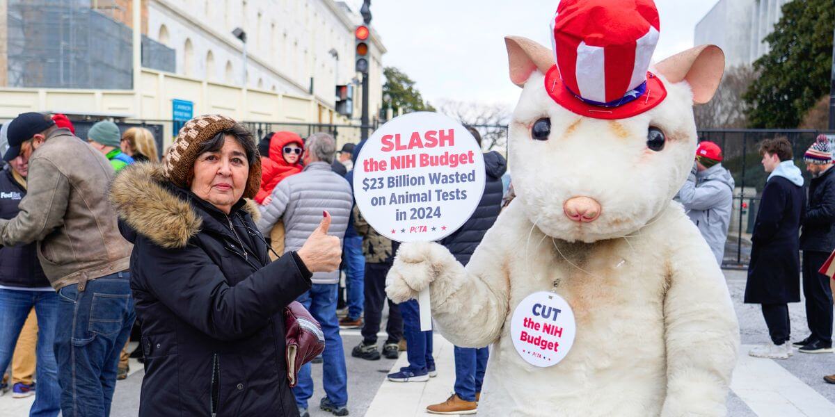 ‘Save Me and $23 Billion!’ Giant ‘Mouse’ Appears at MAGA Victory Rally ...