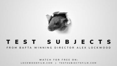 End Experiments on Animals With These Three Simple Actions | PETA