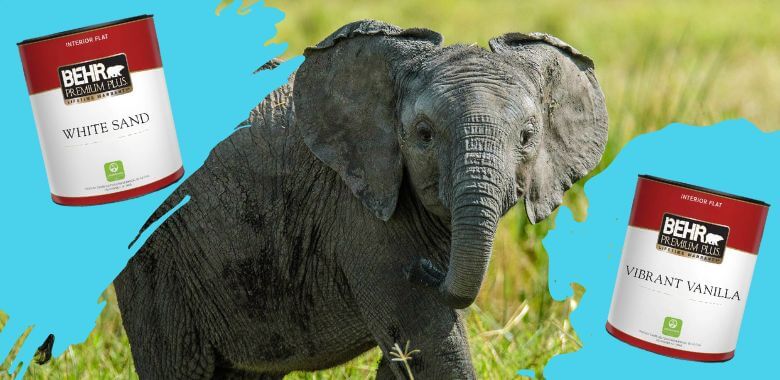 Paint a Picture of Kindness: PETA Beseeches Behr to Ban Anti-Animal ...