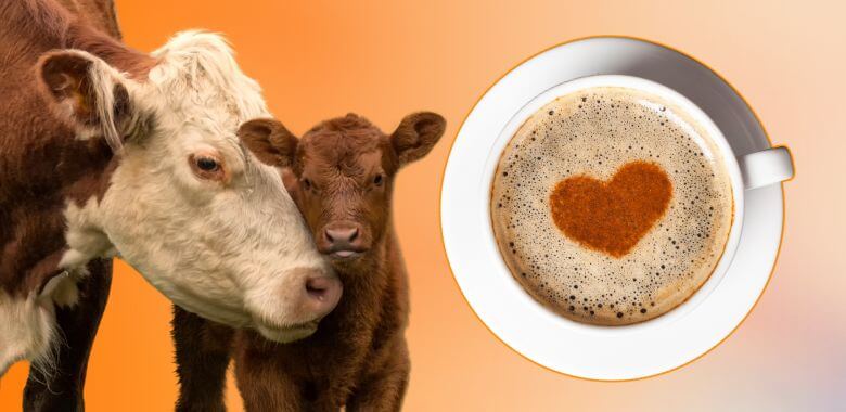 Why Does Peet’s Coffee Charge Extra for Oat Milk? | PETA