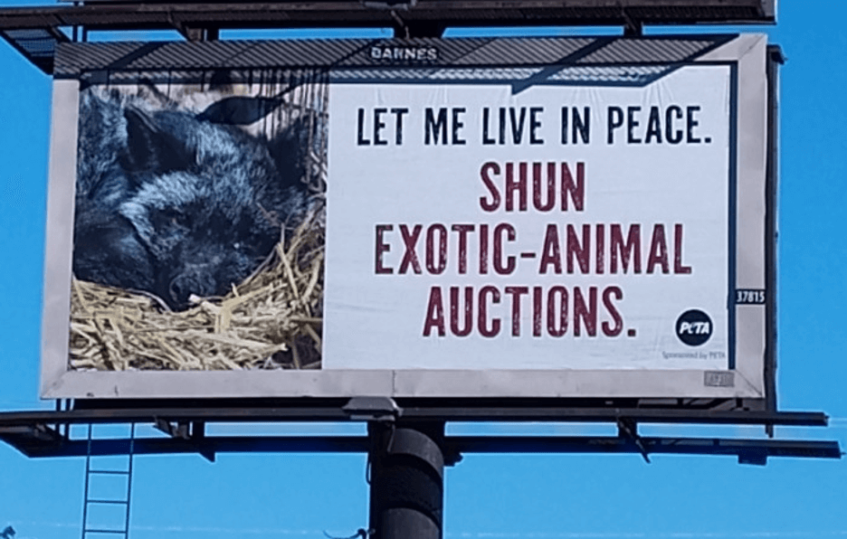 UPDATE: Mt. Hope Exotic-Animal Auction Stopped for Now | PETA