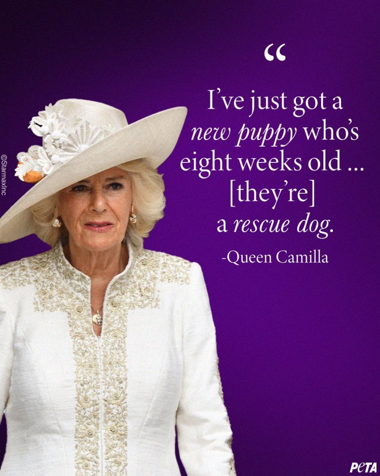 Queen Camilla Adds Adopted Dog Moley to the Royal Family | PETA