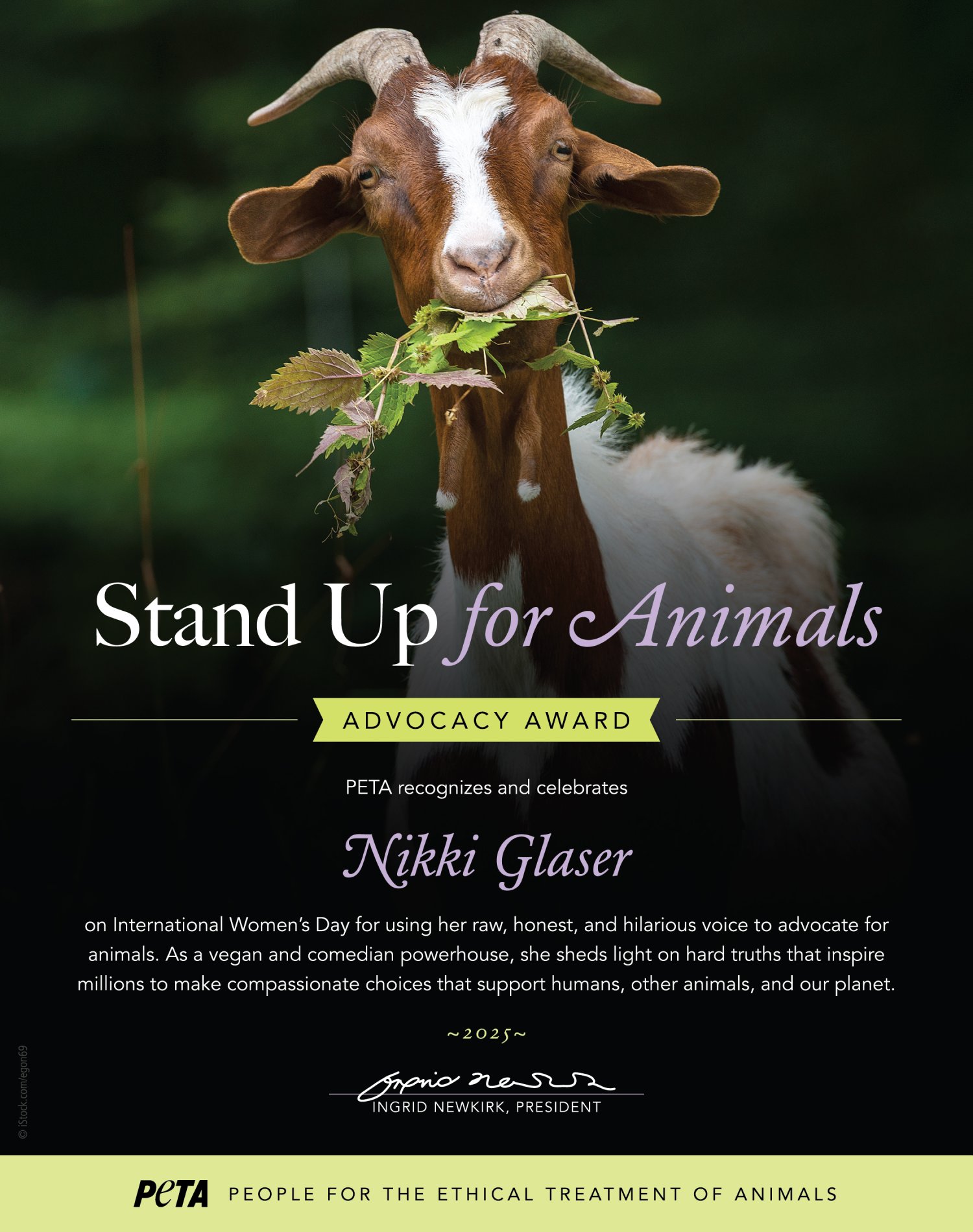 Nikki Glaser Receives PETA’s ‘Stand Up for Animals Award’ | Blog
