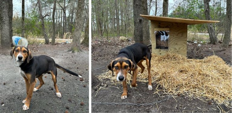 People for the Ethical Treatment of Animals (PETA)