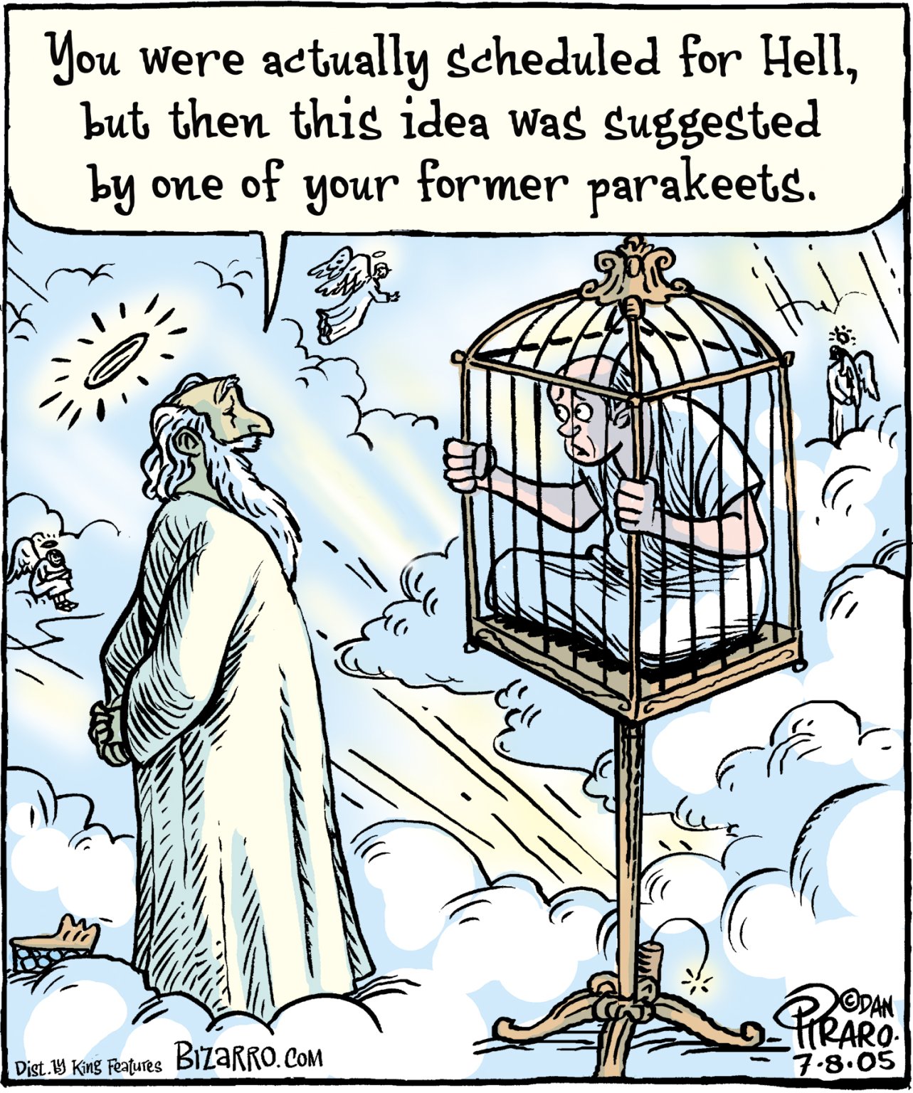 A Bird in a Cage Puts All Heaven in a Rage: Nearly 2,000 Birds Rescued ...