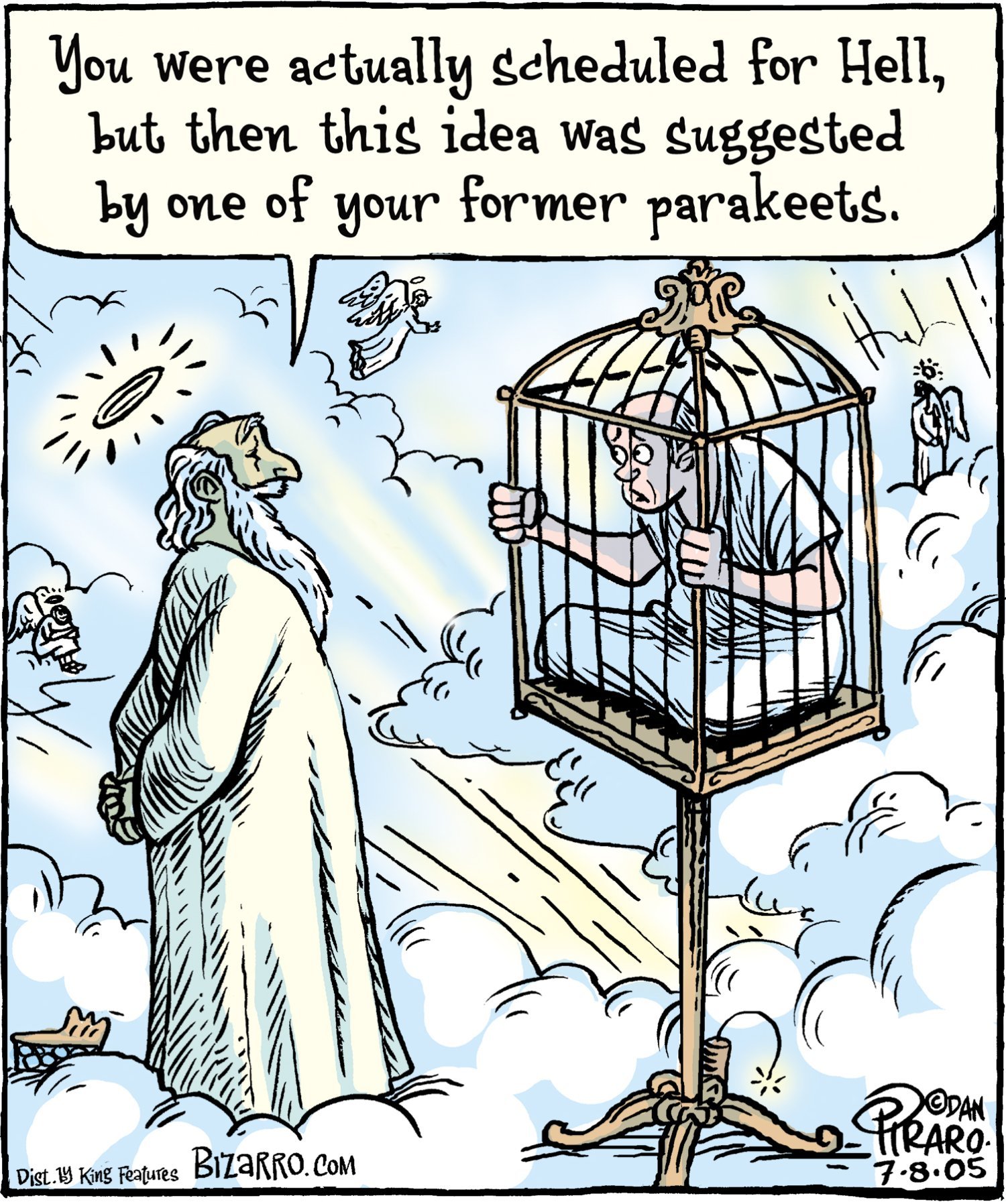 A Bird in a Cage Puts All Heaven in a Rage: Nearly 2,000 Birds Rescued ...