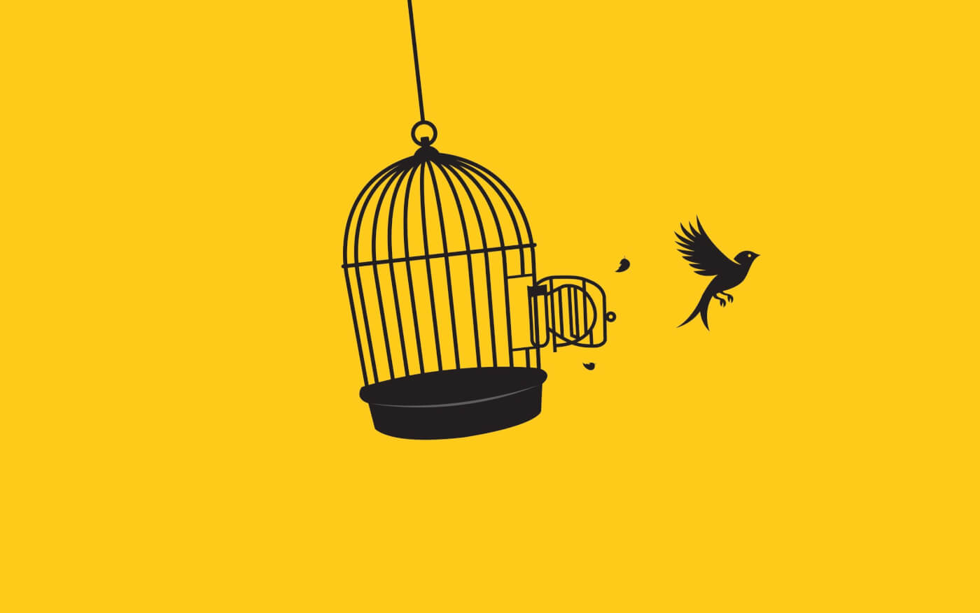 Bold? Timid? You Can Do It! 12 Ways to Achieve Animal Rights | PETA