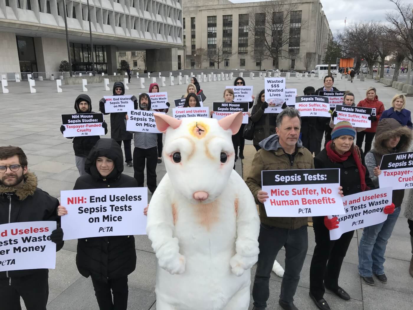 ‘Millions Spent Giving Sepsis to Mice Nearly Cost Me My Life’—But PETA ...