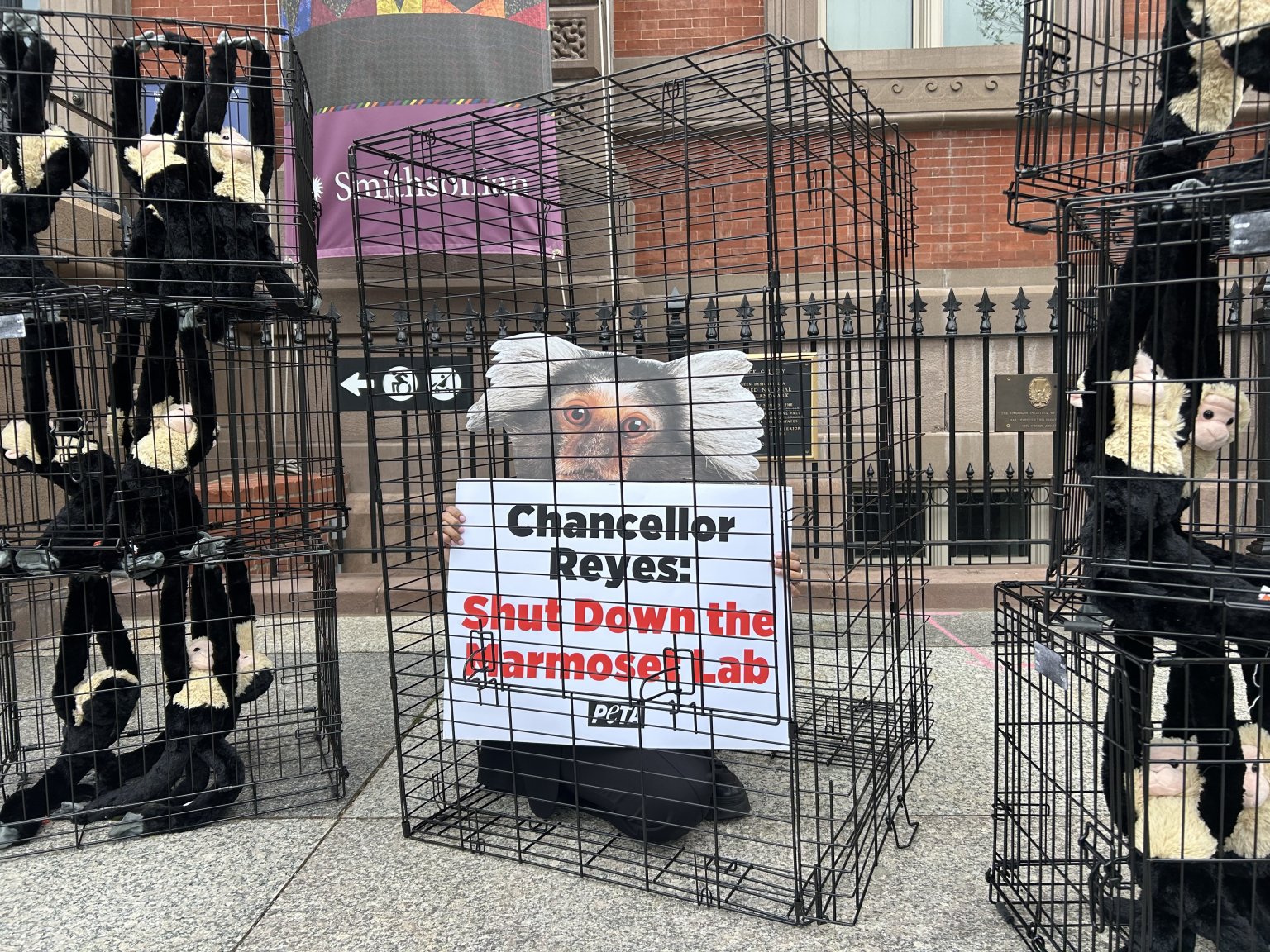 See How PETA Shook the Animal Testing Industry in 2025 | PETA