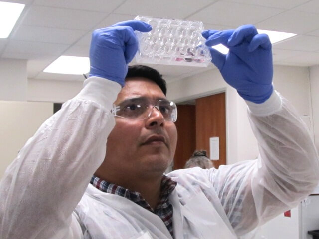 Colgate Joins in on Non-Animal Science Training | PETA