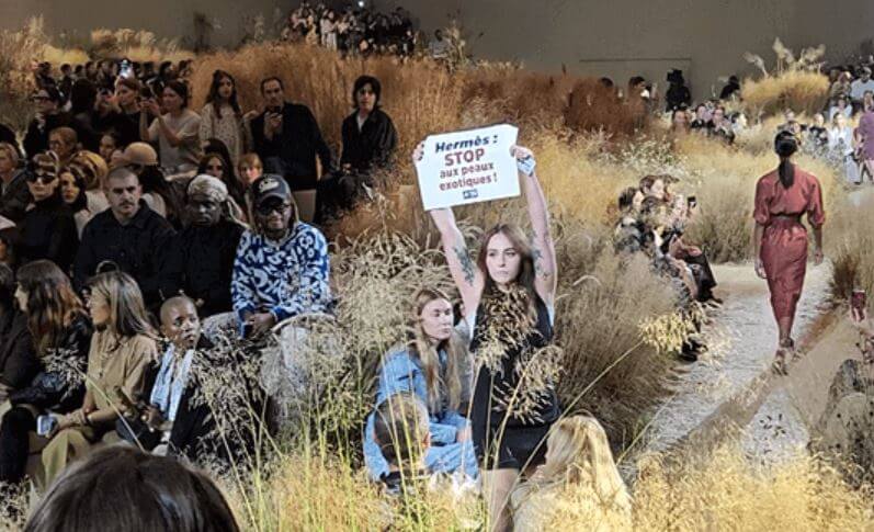 Fashion Police! 12 Times PETA Shocked Hermés Shoppers | PETA