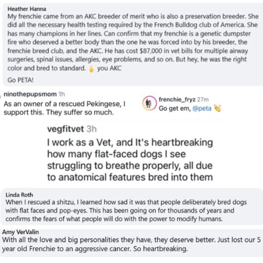 Dog Guardians Speak Out Against the American Kennel Club | PETA