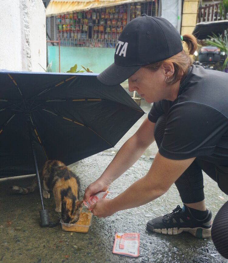 Homes Submerged. Streets Turned into Rivers. Animals Clinging to Hope ...