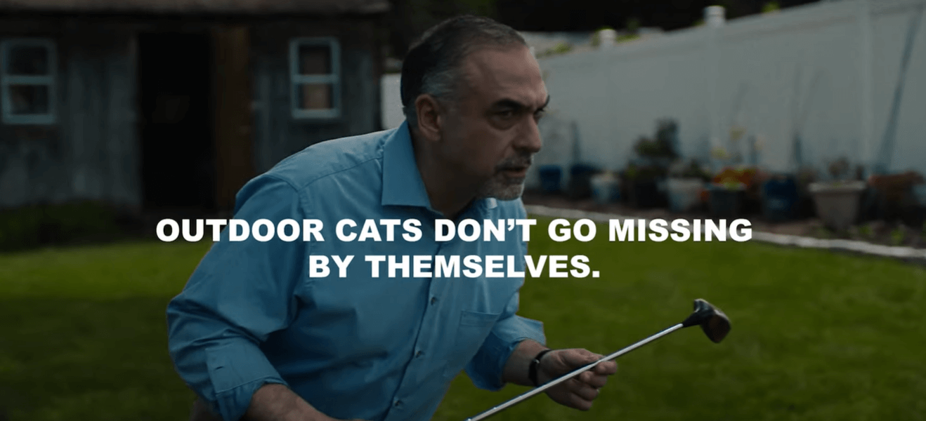 Breaking: Atlantic City Cats Beaten, Killed; PETA Issues Danger Warning ...