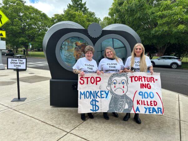 Progress! Lawmakers Inch Closer to Shutting Down Oregon’s Failed ...