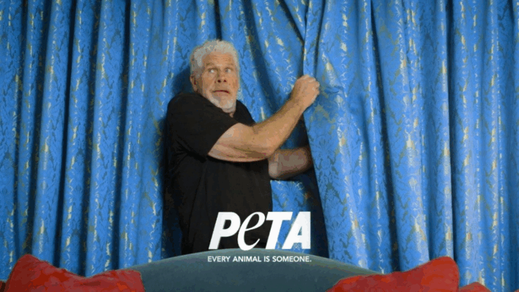 Ron Perlman Warns That Fireworks Scare the (Bleep) Out of Animals in ...
