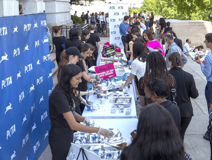 From the Grill to the Hill: Congressional Veggie Dog Lunch Brings Chris ...