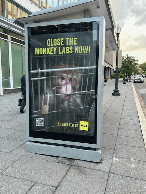 PETA Unleashes D.C. Ad Blitz Seeking the Closure of All Monkey ...