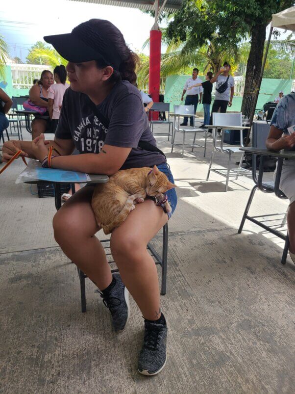 ‘Fixing’ Cancún: Confetti’s New ‘Leash’ On Life | PETA