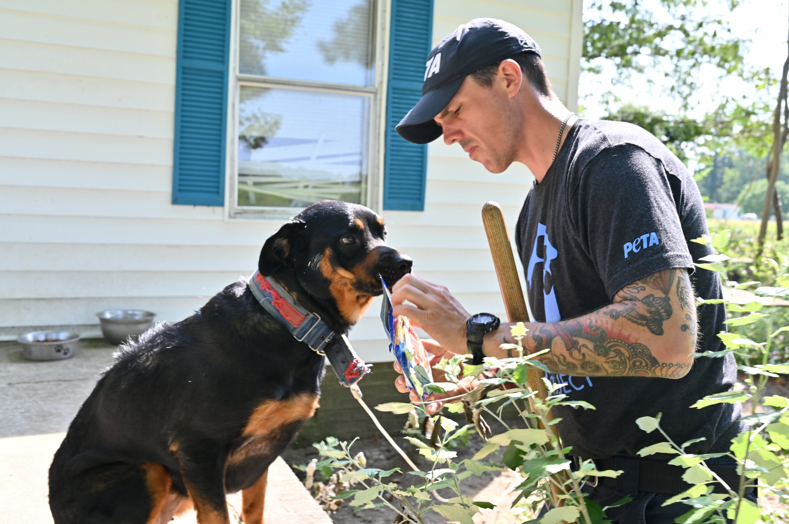 1,000 Animals Rescued and Counting: PETA Fieldworker Chris Klug’s ...