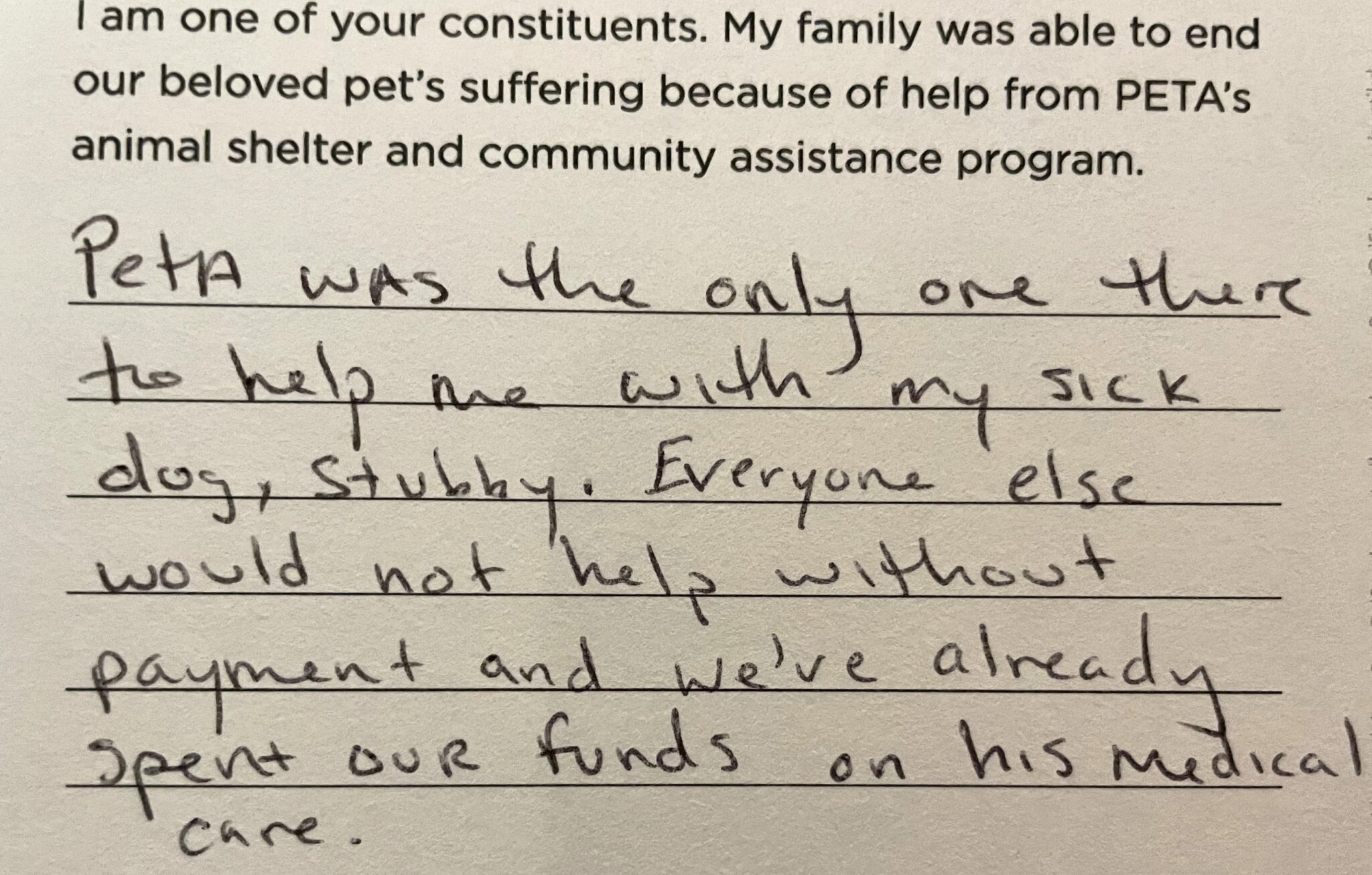 SHOCKING! The Slow-Kill Consequences of Best Friends’ ‘No-Kill’ Agenda ...