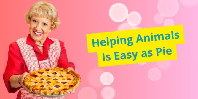 PETA Global Magazine Issue 3: Summer 2025 | PETA