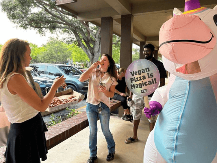 Photo Op: ‘Vegan Cheese Is Magical!’ Cutest Unicorn Ever to Hand Out ...