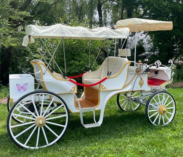 Animal Allies to Demo High-Tech E-Carriage During Vote on Horse Working ...