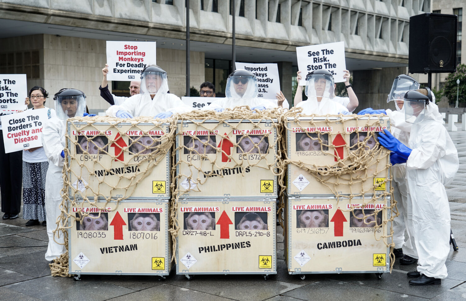 PETA Sounds Alarm on Monkey TB Crisis in Labs | News