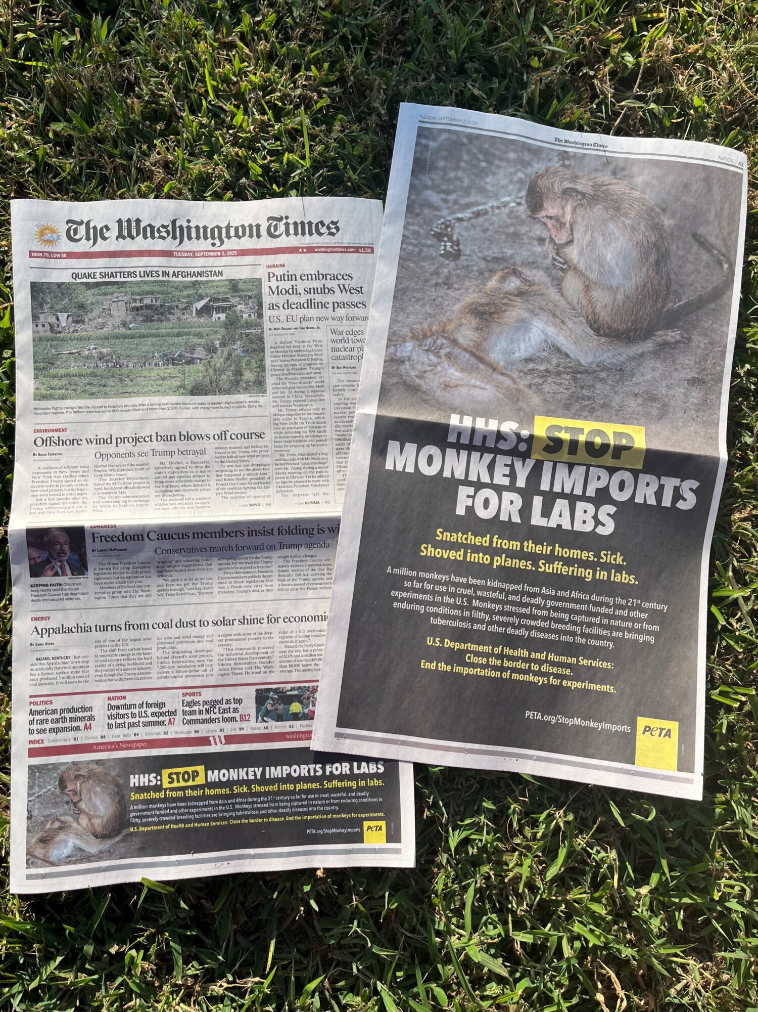 Updates: Campaign to Shut Down the Violent Monkey-Importation Industry ...