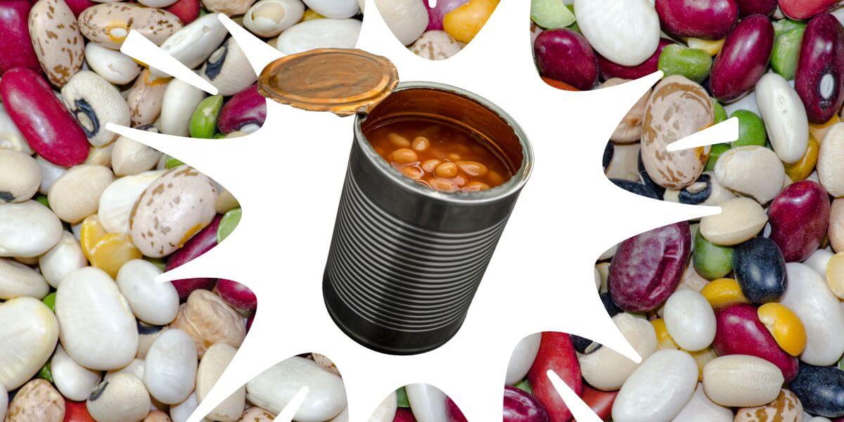 Easy Vegan Recipes With a Can of Beans | PETA