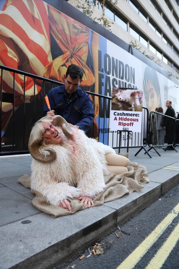 London Fashion Week: PETA Founder Had Hair Torn From Her to Protest ...