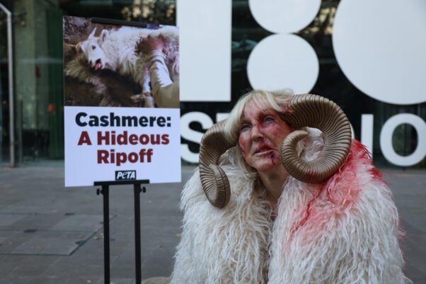 London Fashion Week: PETA Founder Had Hair Torn From Her to Protest ...