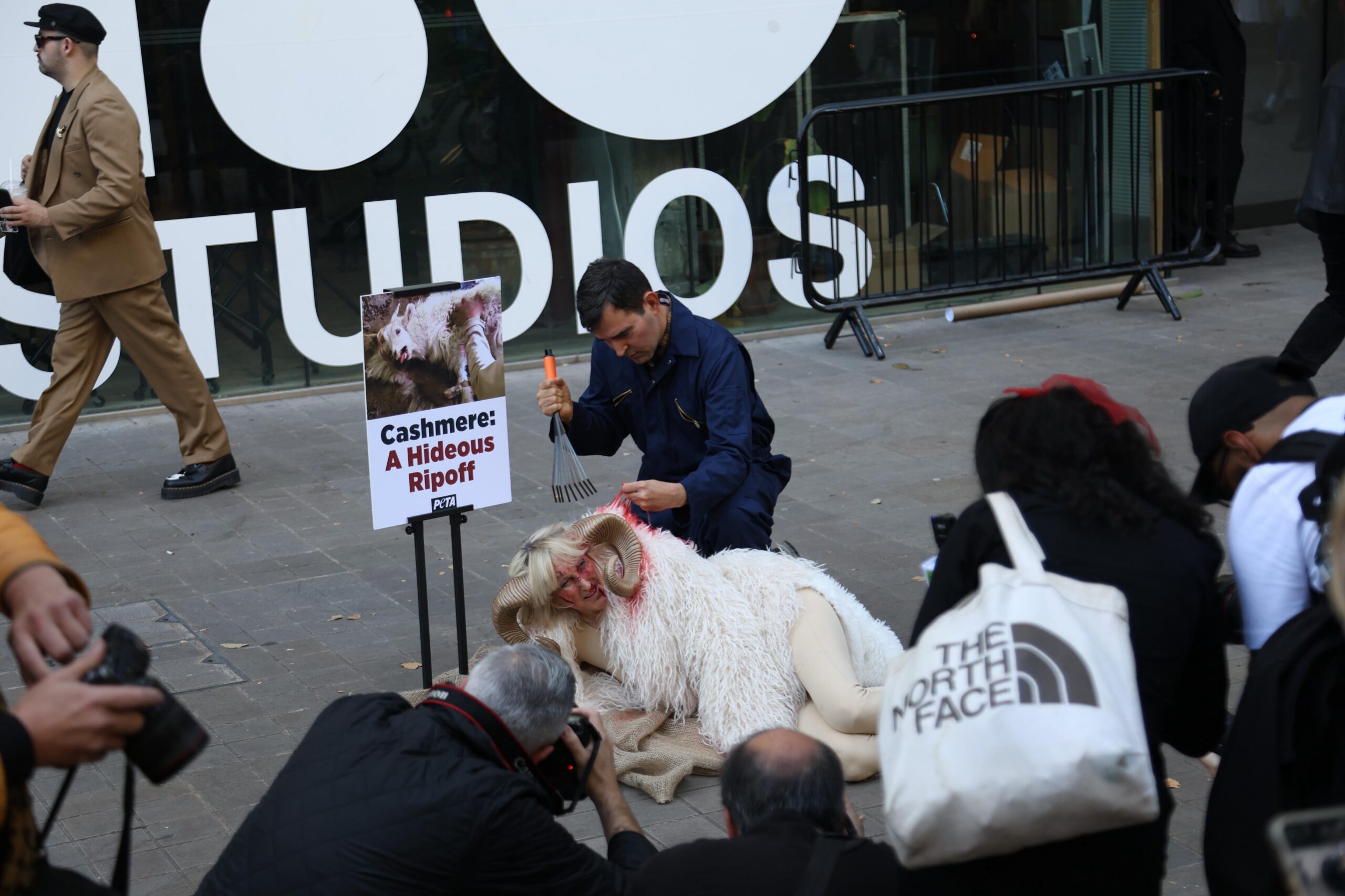 London Fashion Week: PETA Founder Had Hair Torn From Her to Protest ...
