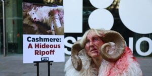 People for the Ethical Treatment of Animals (PETA)