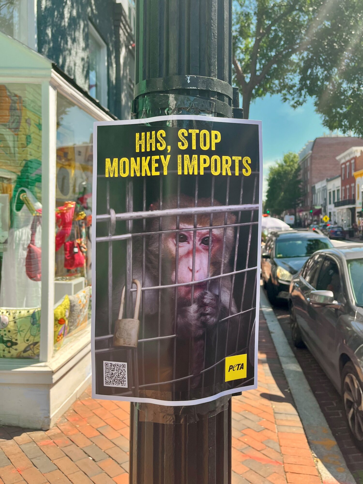 Updates: Campaign to Shut Down the Violent Monkey-Importation Industry ...