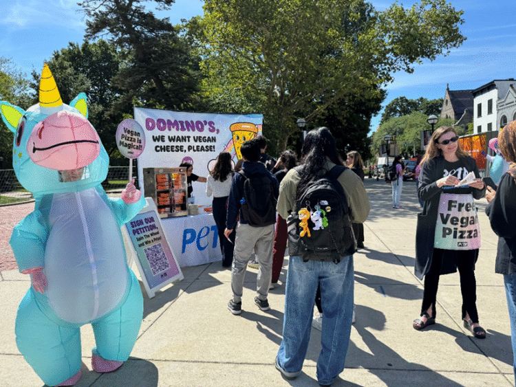Photo Op: ‘Vegan Cheese Is Magical!’ Cutest Unicorn Ever to Hand Out ...