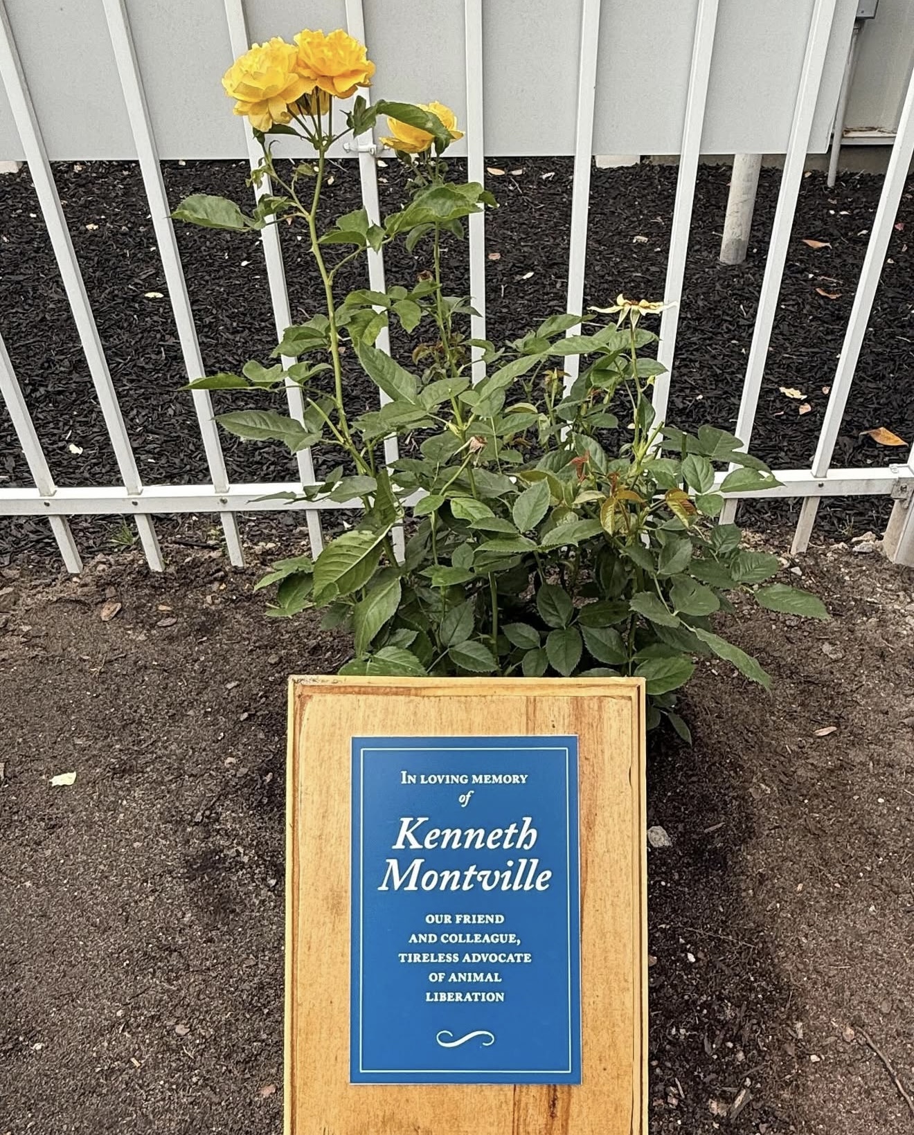 In Memory of Kenneth Montville | PETA