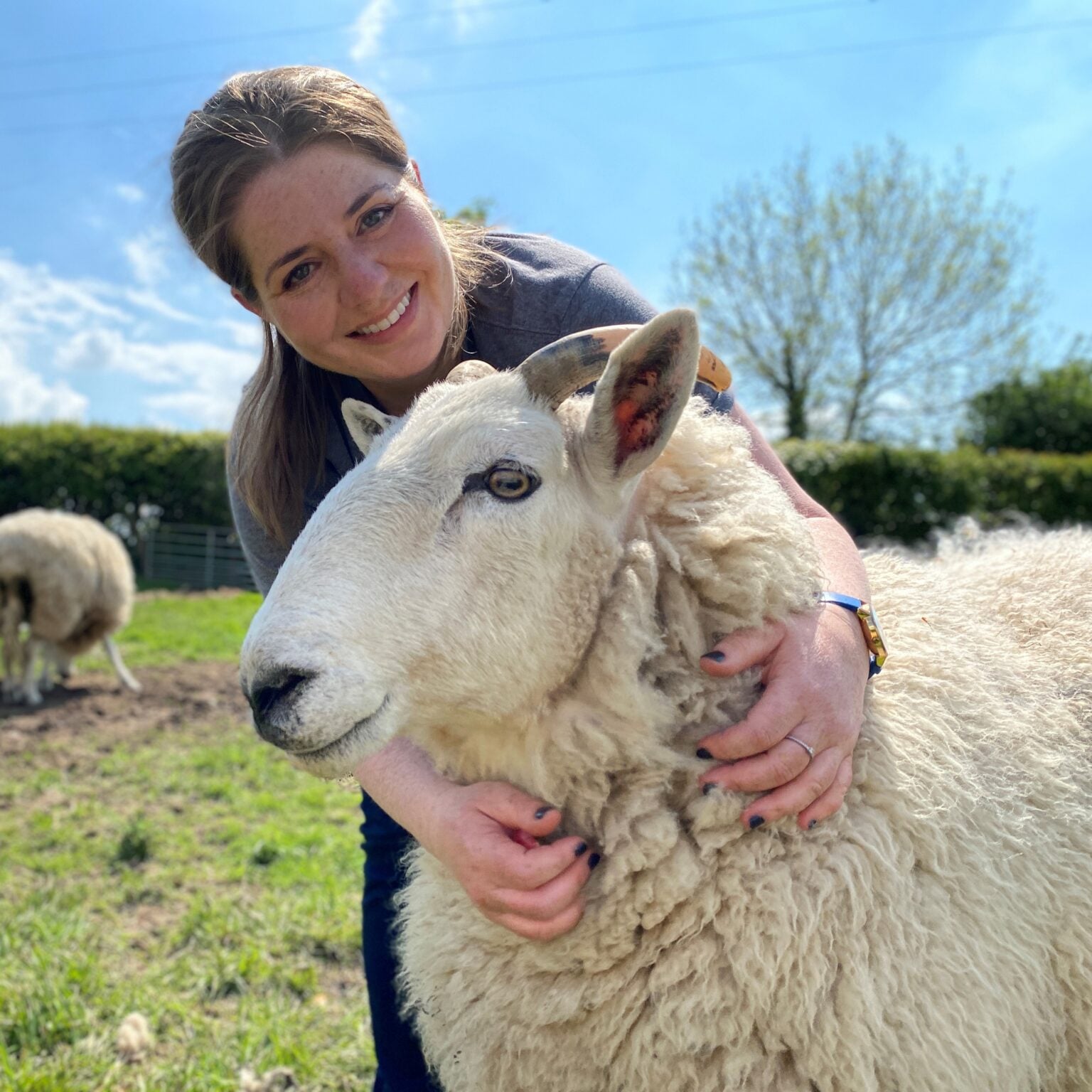 No More Woolly Bully in 2026 | PETA