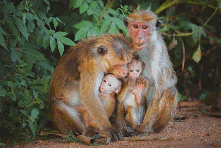 Victory! Mequon-Based Fromm Family Foods Joins Nationwide Push for ...