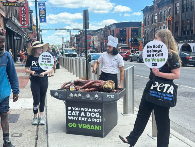 Turkey or Terrier for Thanksgiving? Shocking PETA Display to Point Out ...