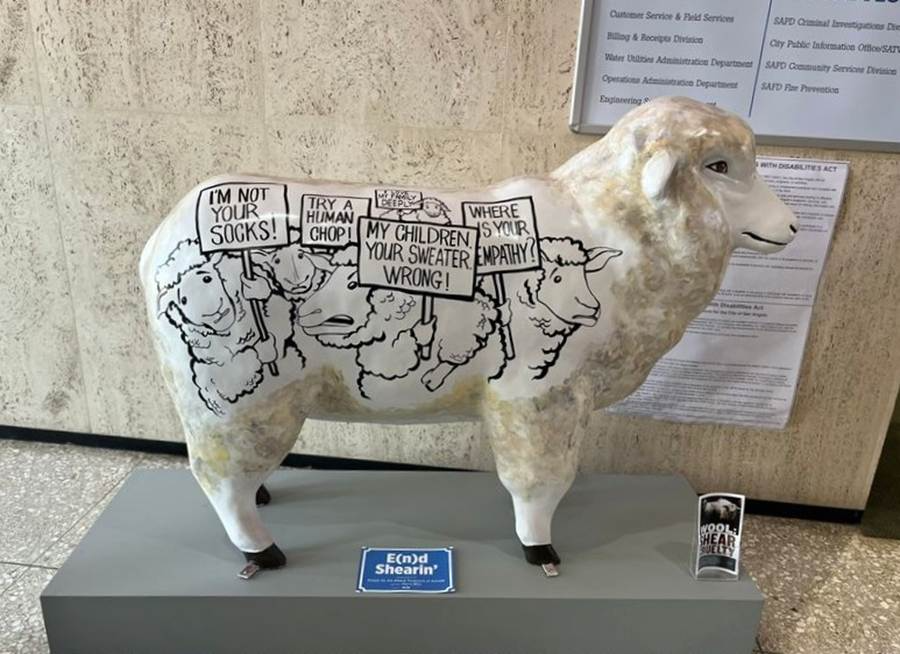 PETA’s Sheep “Statement Statue” Unveiling Outside Allbirds Calls Out ...