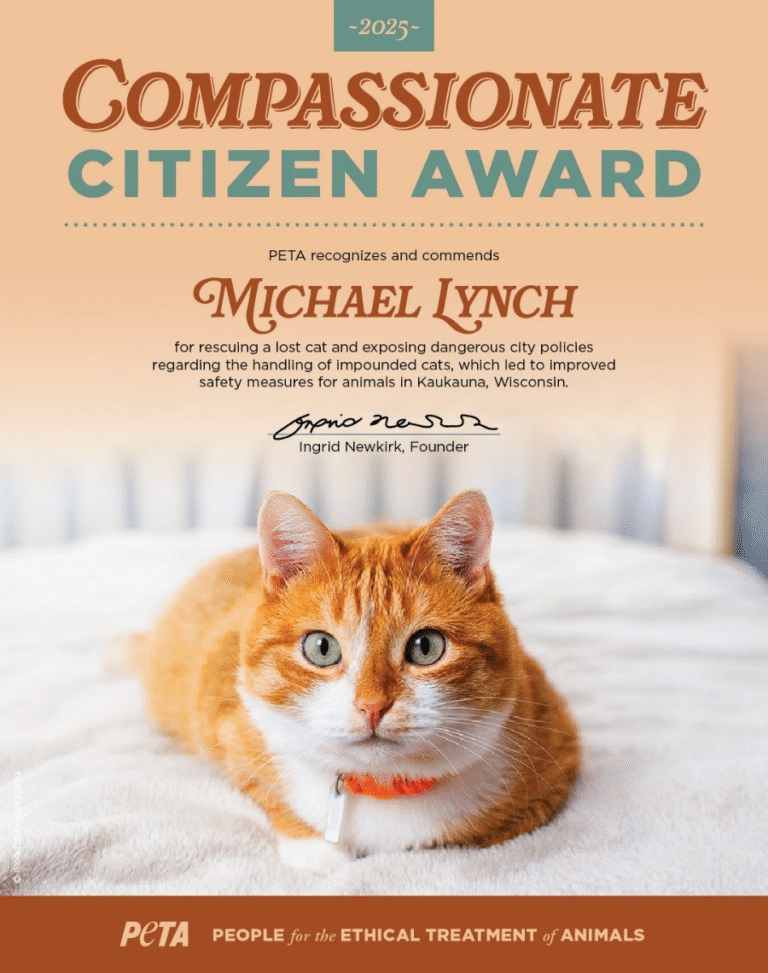 Cat’s Guardian Angel Given PETA Award for Pushing PD to Protect Stray ...