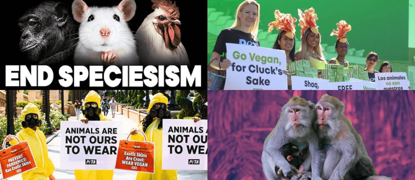 Sign Up for E-Mails | PETA