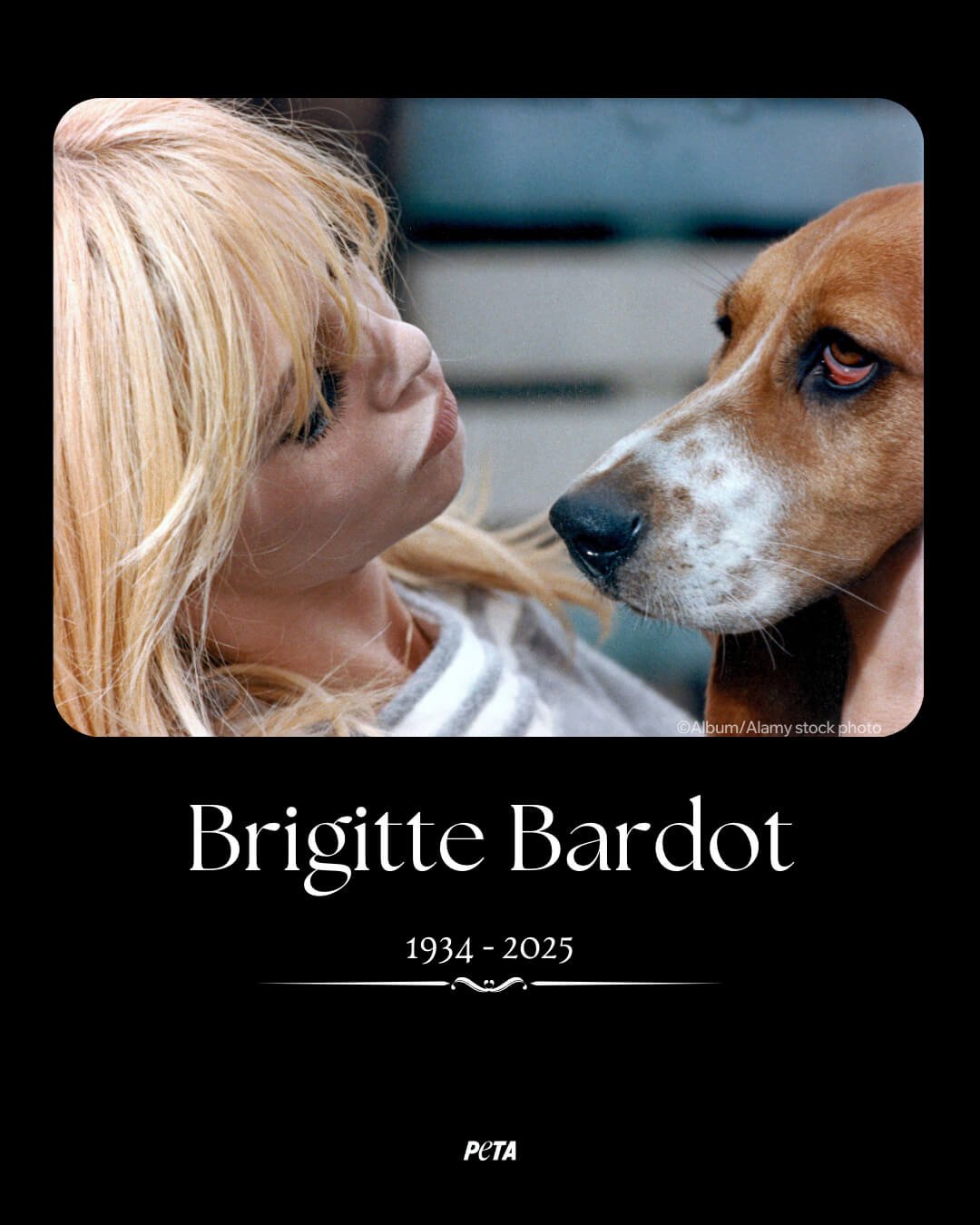 Brigitte Bardot, Friend to PETA and Animals Everywhere | PETA