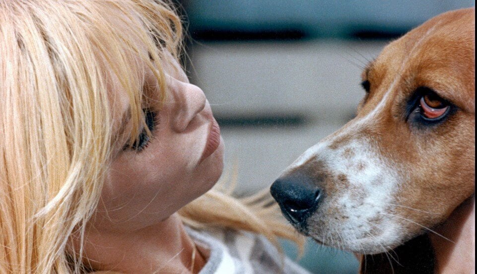 Brigitte Bardot, Friend to PETA and Animals Everywhere | PETA